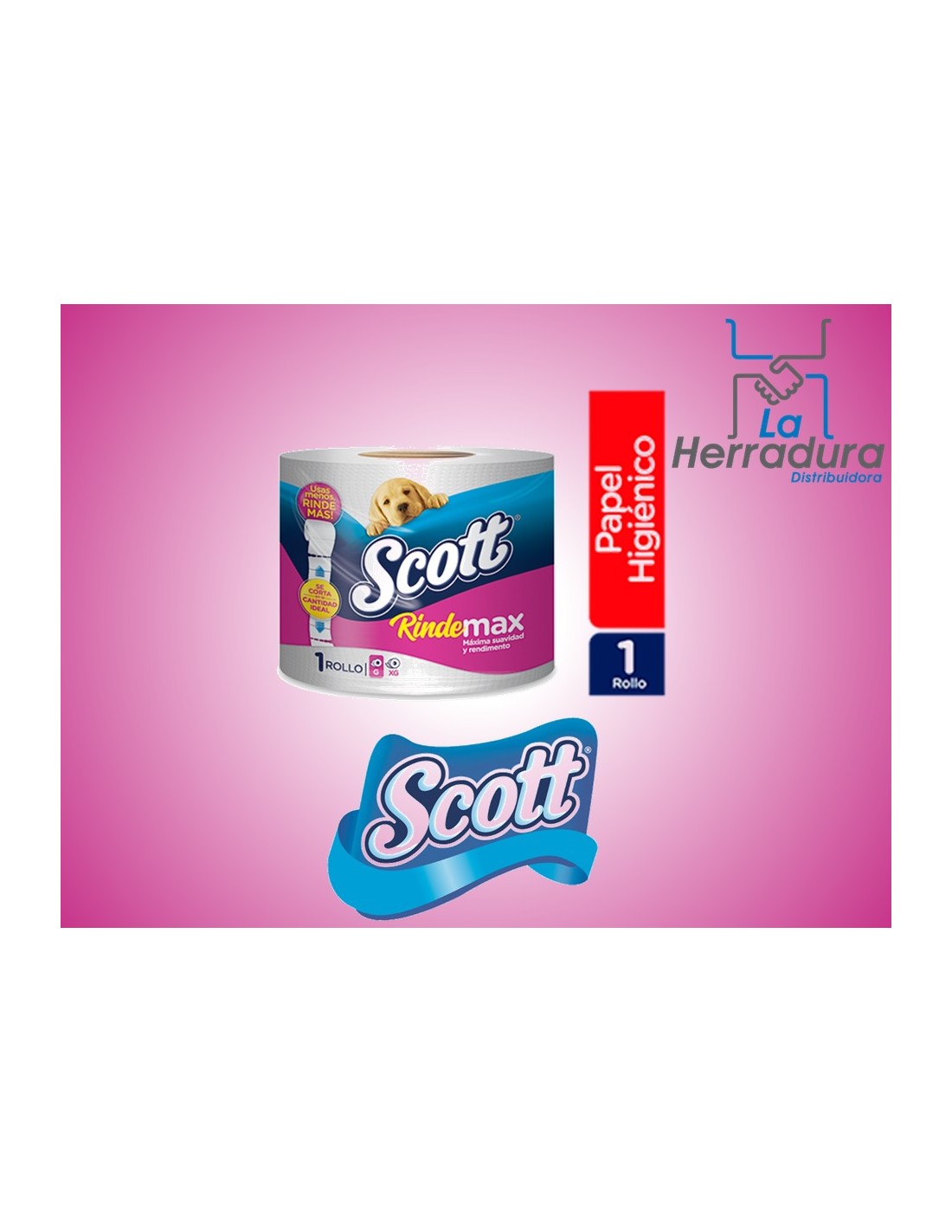 PAPEL SCOTT 2 EN 1